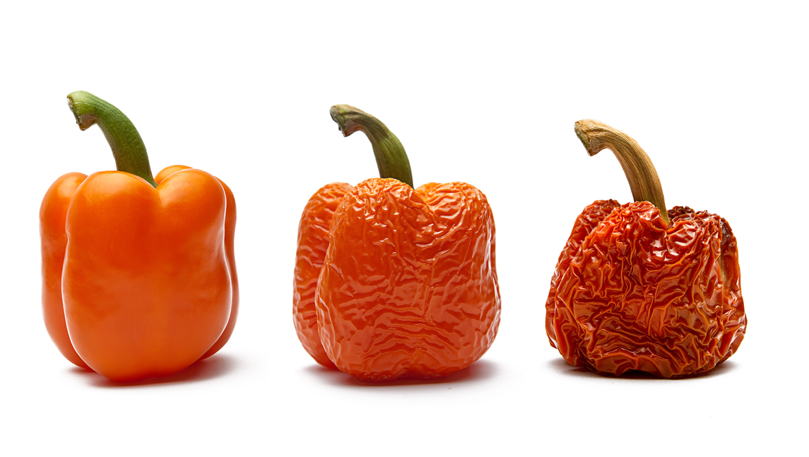 Vida útil de alimentos - Estandar